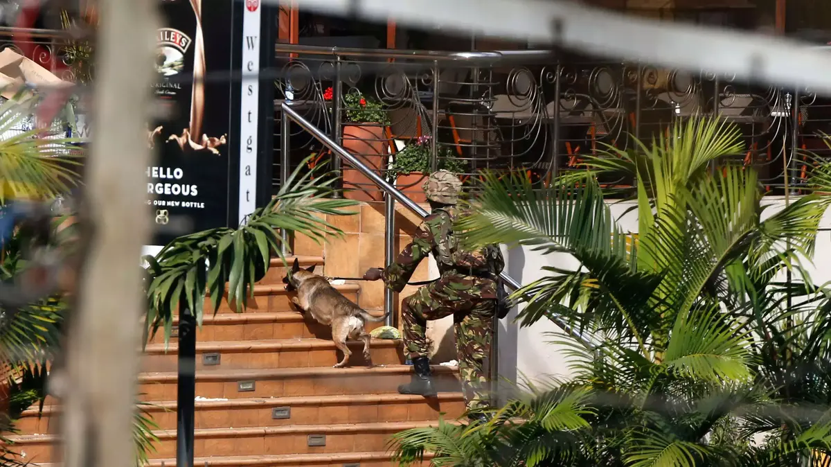 אסף חפץ: "הגיוני שהזמינו כוחות ישראליים לסייע בחילוץ בקניה" - וואלה חדשות