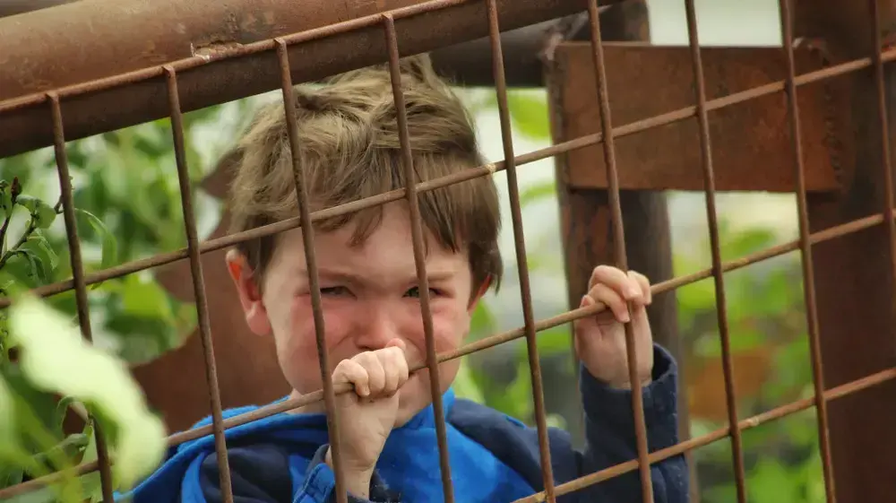 How Much Will Daycare Cost For A Child Among The Solvers Will Be Drawn 