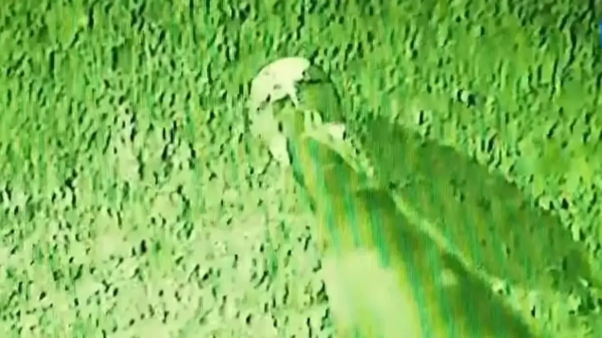 החשיפה המדהימה: צבא ארה"ב אסף חפץ בלתי מזוהה בצורת ביצה - וואלה טכנולוגיה